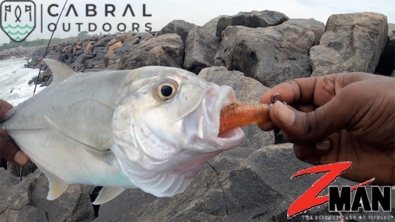 Fishing with Z man Diezel minnow New Penny lure in chennai | Lure ...
