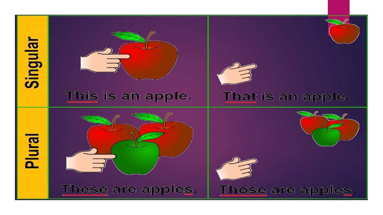 Possessive and Demonstrative Pronouns - YouTube