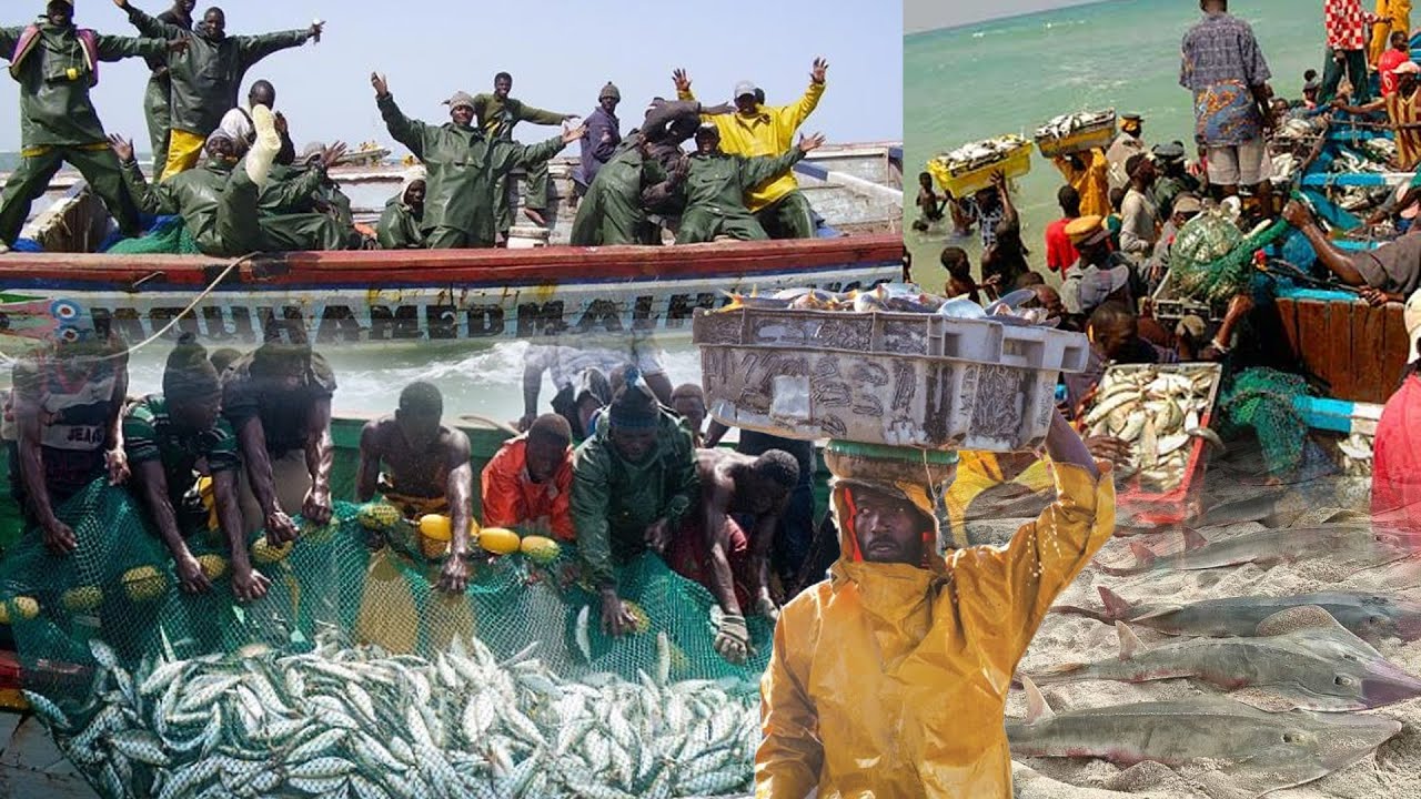 Les pêcheurs jubilent aux décisions du Pr Diomaye Faye ; les accords ...