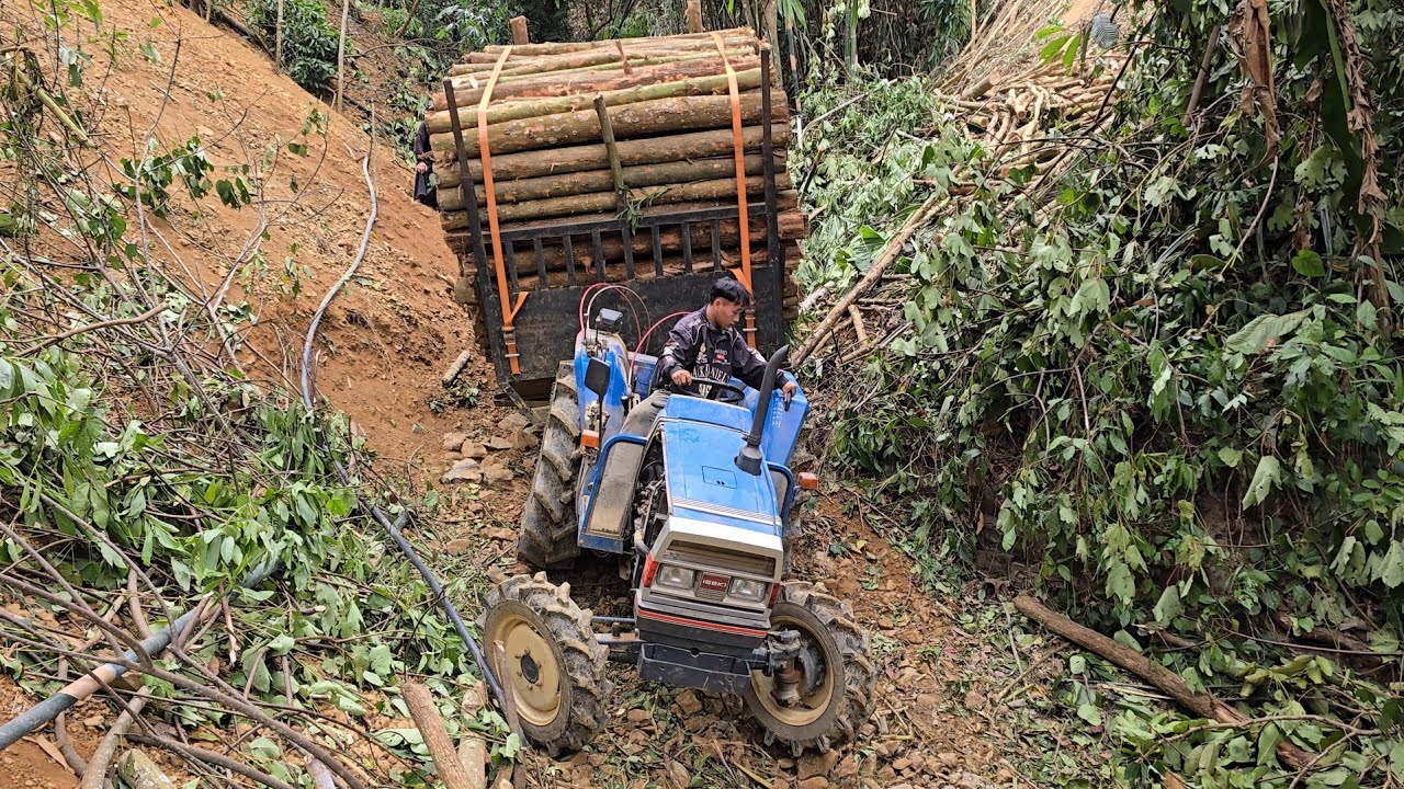 Tractor carrying logs in rocky ravines is bulky: Tractor lost wheels ...