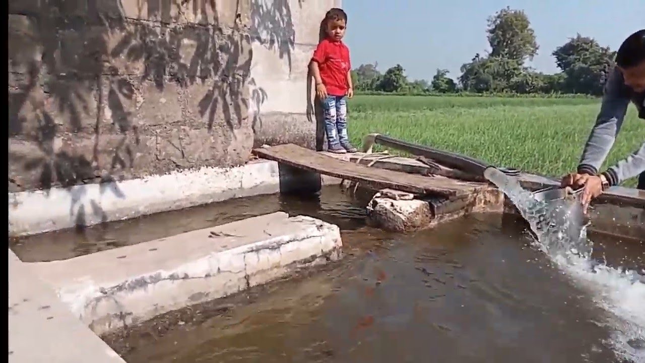 water well irrigation system in my land crops to grow - YouTube