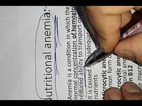 lecture (10) biochemistry video (1) - YouTube