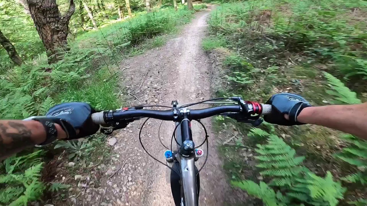Mtb Singletrack - YouTube
