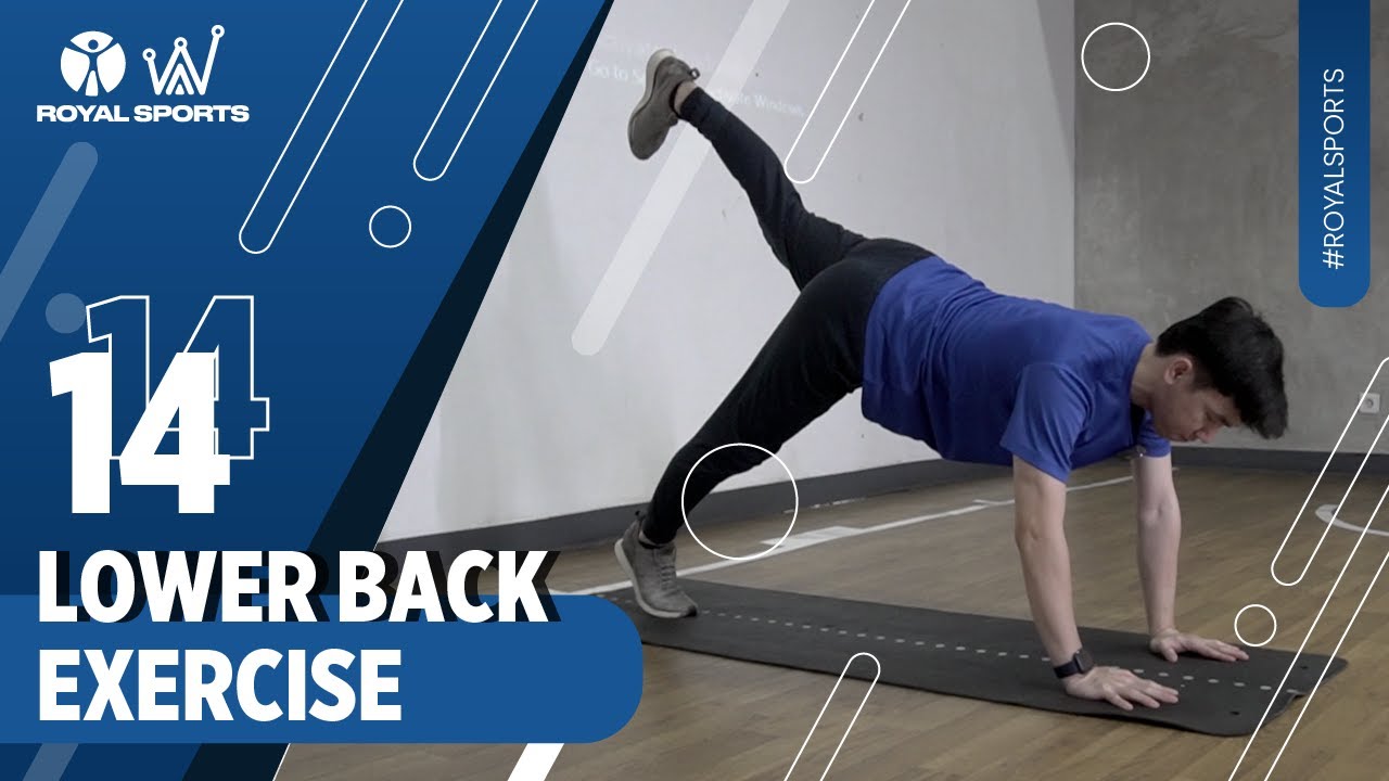 LATIHAN 14: LOWER BACK EXERCISE - YouTube