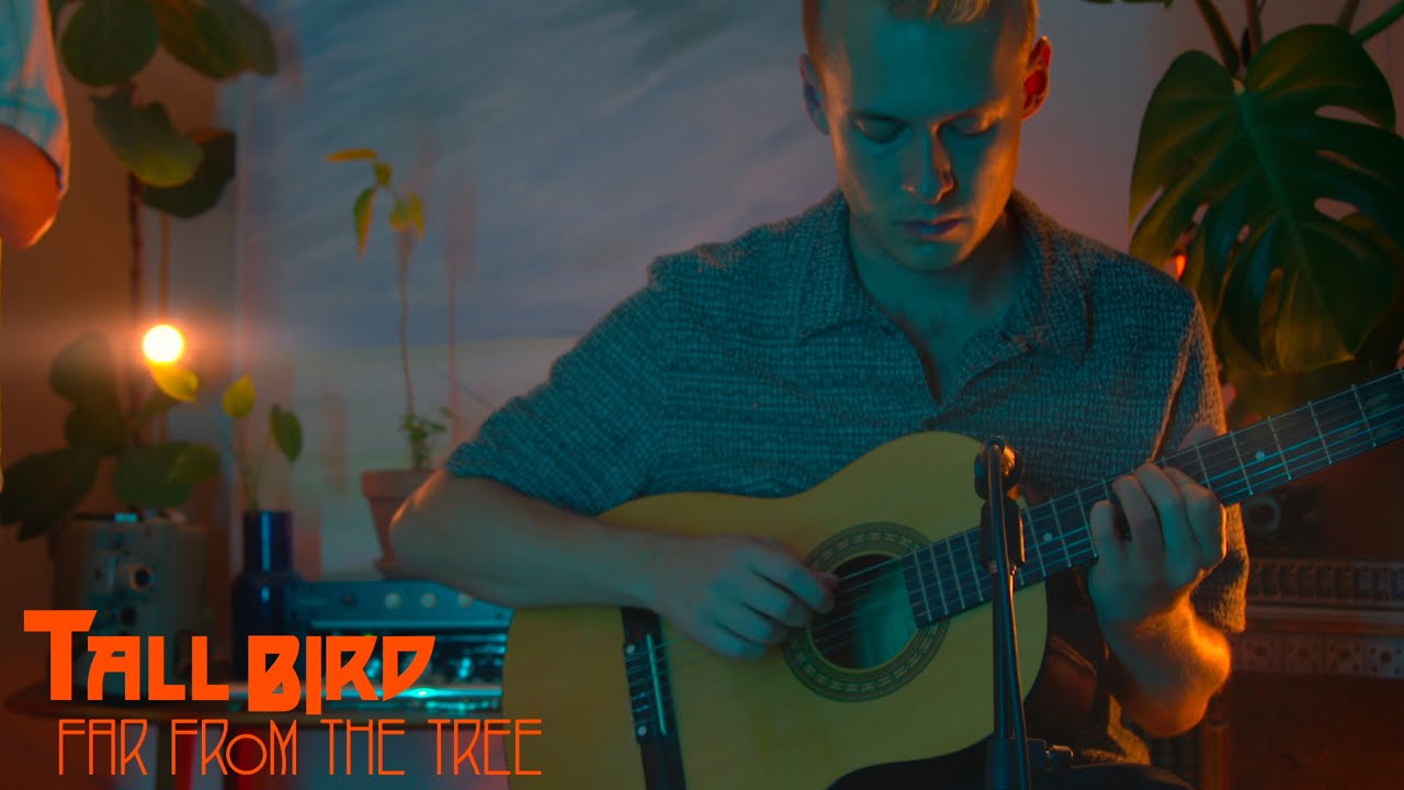Tall Bird - Far From the Tree (Live from a room) - YouTube