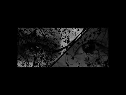 Aliyeviç - Gecələr Küçələr