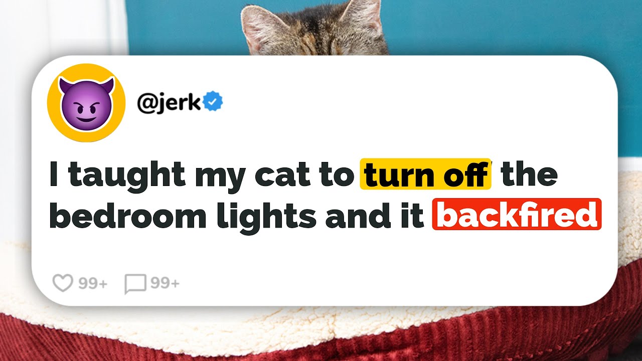 I Taught My CAT to Turn Off the Lights... But It has BACKFIRED! - YouTube