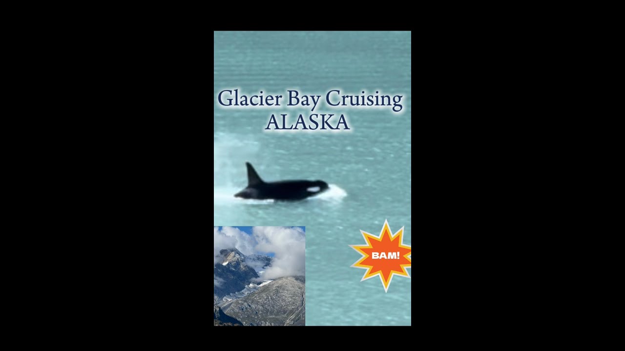 A WHALE 🐳 TALE IN GLACIER BAY ALASKA - YouTube