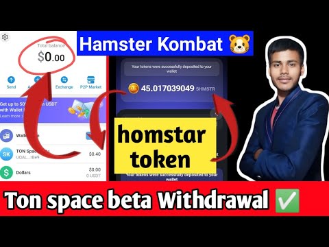 ton space beta to telegram wallet | Ton space beta withdrawal hamster ...