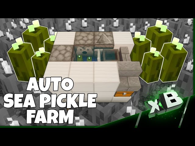 Minecraft Bedrock Sea Pickle Farm Not Working - Infoupdate.org