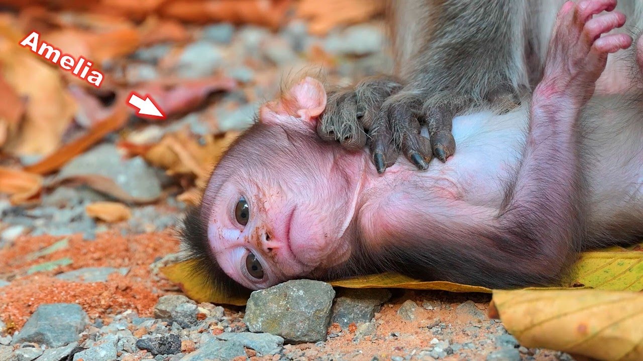 Look at Amelia face, seemingly unhappy as her mom Anna continues to ...