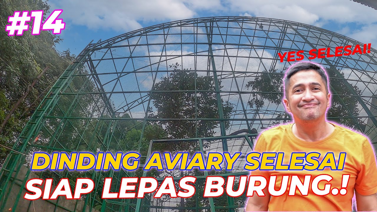 #EPS14 AVIARY DEHAKIMS | DINDING AVIARY SELESAI, SEMUA TERTUTUP, BURUNG ...