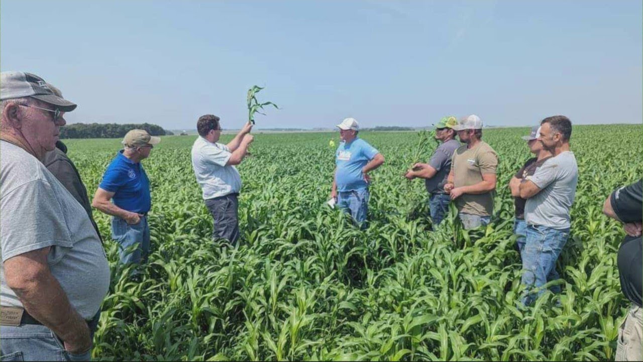 Growing Forages for High Forage Diets - YouTube