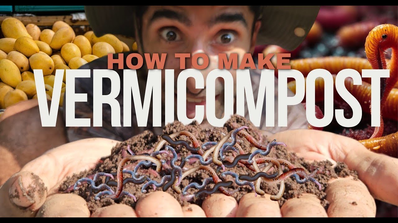 How to Make Vermicompost at Home: Easy Steps for Organic Fertilizer ...