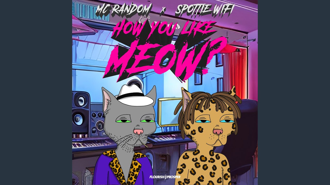 How You Like Meow? (Remix) - YouTube