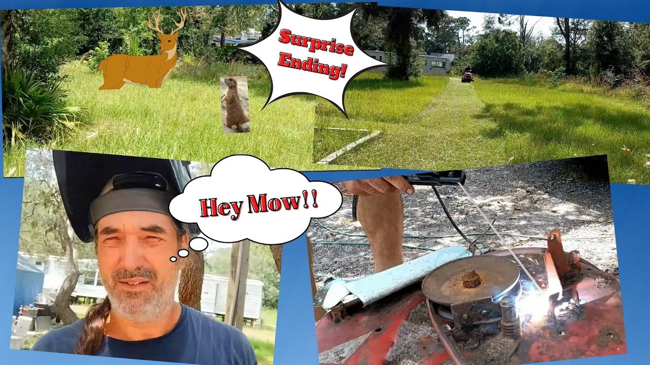 #41 Hey Mow!! - YouTube