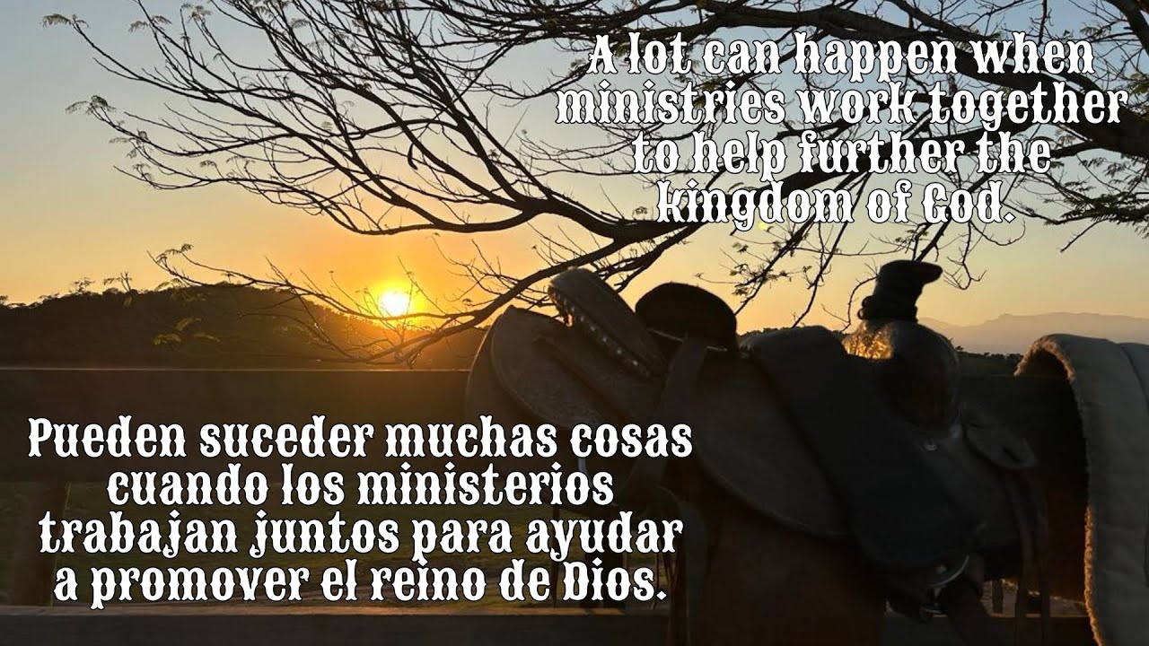 HHMP gets 2 new colts! - YouTube