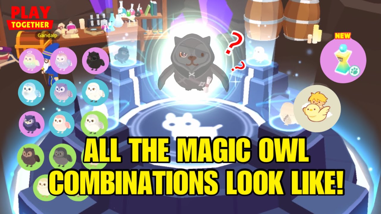 Check Out What All the Magic Owl Combinations Look Like! #playtogether ...
