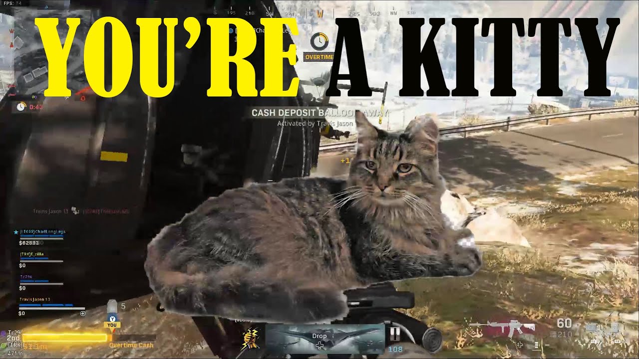 You're a *kitty*! COD WARZONE! - YouTube