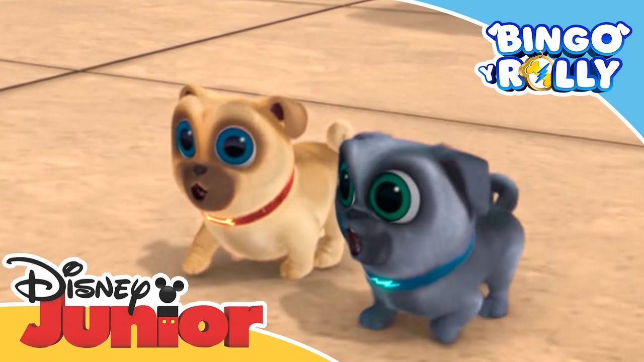 Bingo y Rolly: Disney Junior Music Party - "La hemos de coger" | Disney ...