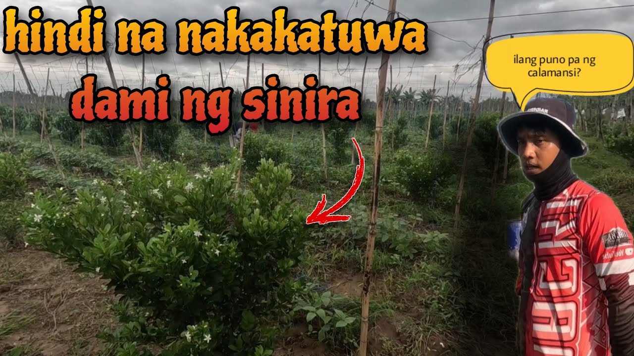 HINDI NA NAKAKATUWA, MALAKING PERWISYO | Part 1 of 2 - YouTube