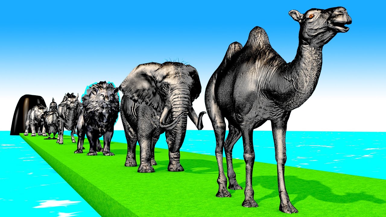 Paint & Animals Duck, Cow, Dog, Buffalo, Zebra Fountain Crossing ...