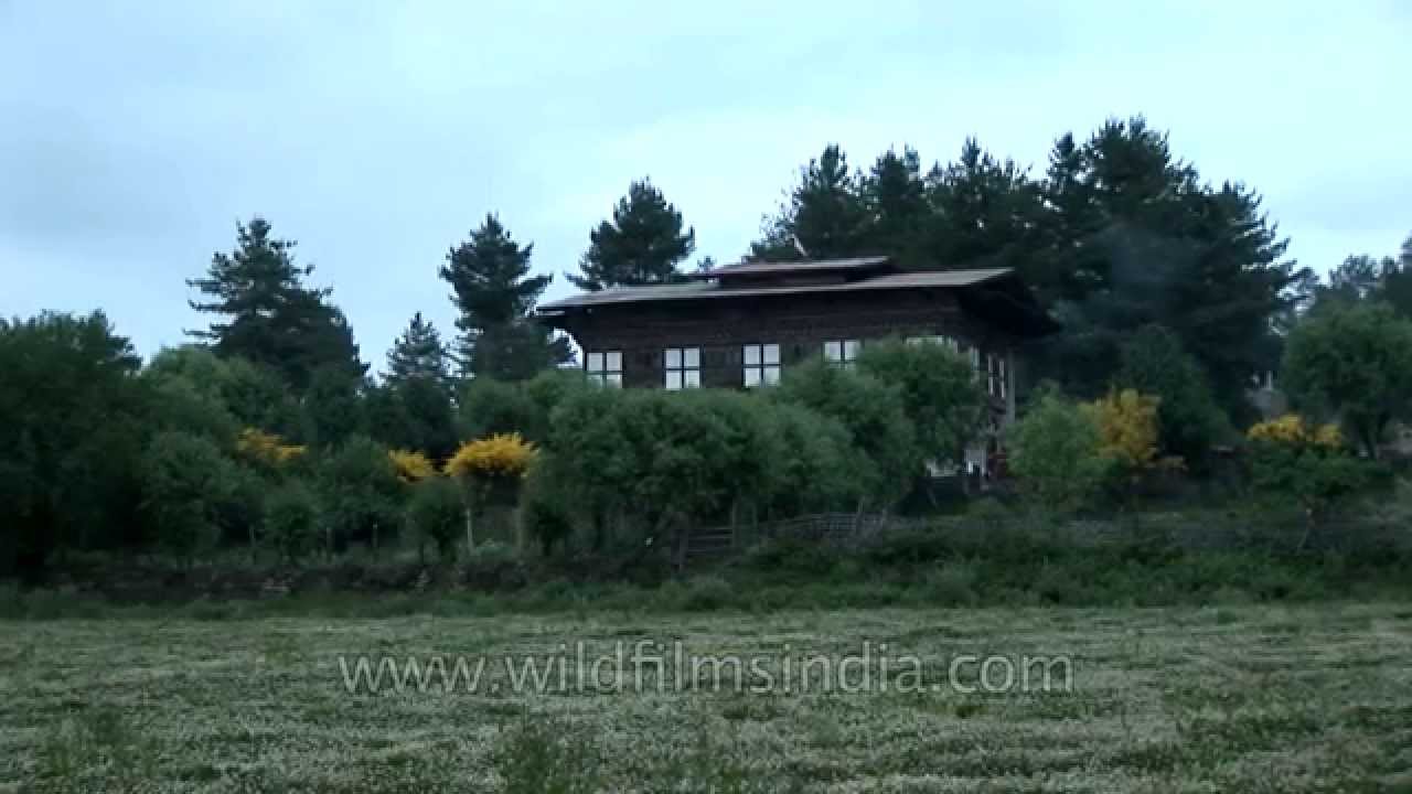 Traditional Bhutanese house with wood craving - YouTube