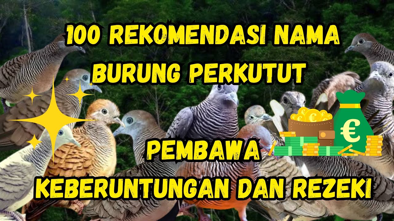 100 Nama Burung Perkutut Pembawa Hoki dan Rezeki Bagi Pemiliknya ...