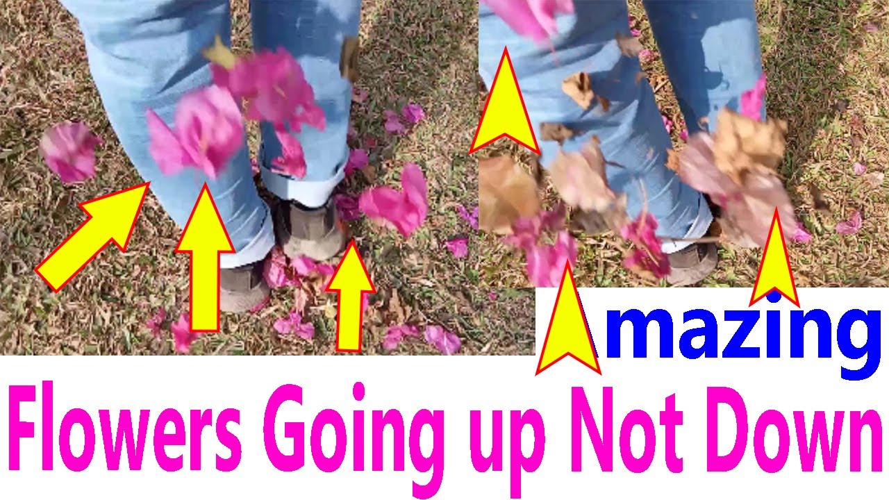 Creative Video | Cinematic Shot | Best idea | Amazing Idea || Jawdan ...