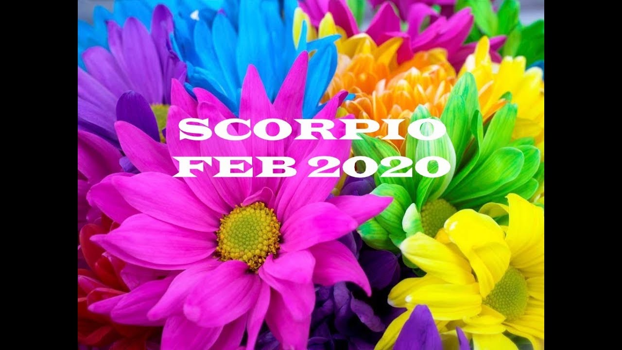 SCORPIO: FEB 2020: OVER IT! - YouTube