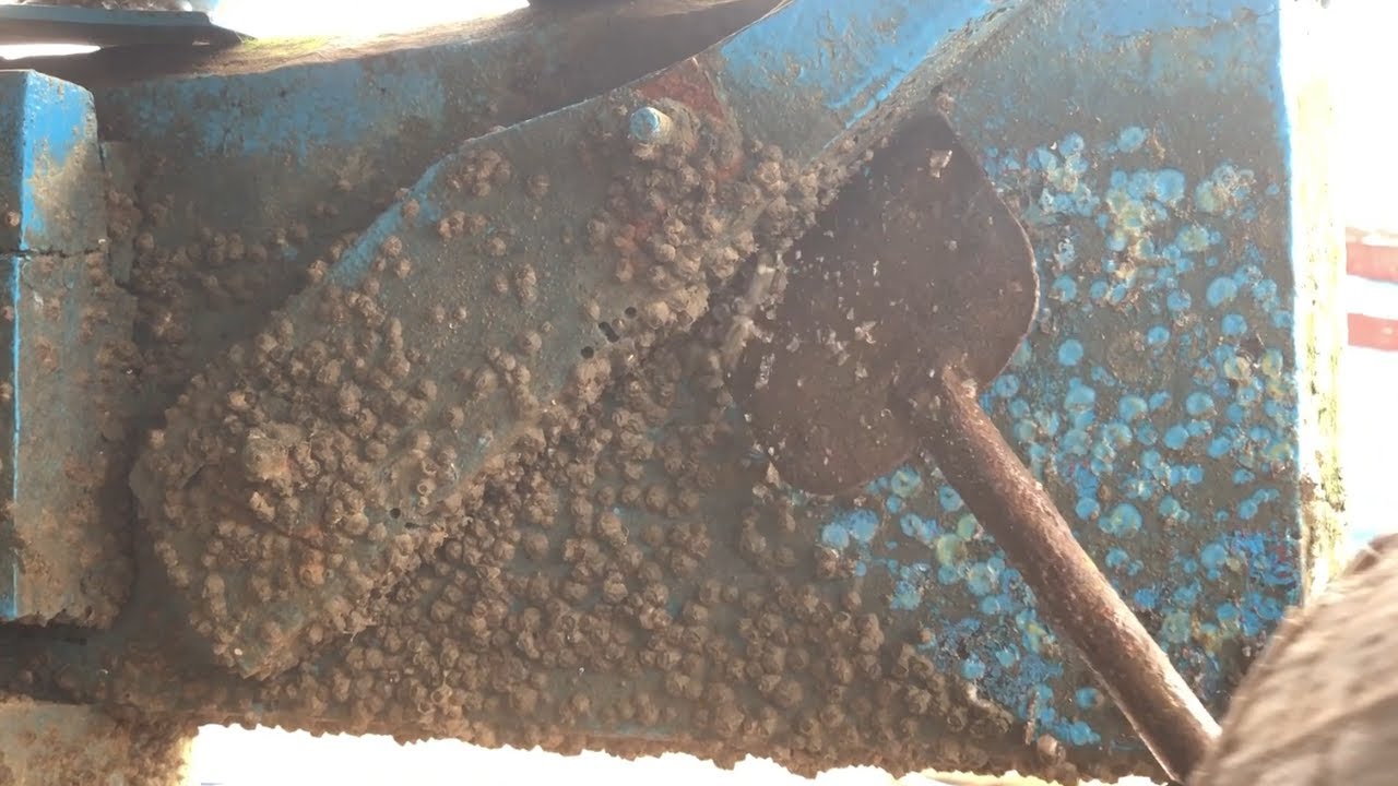 Barnacle Removal From Ships And Boats 😱 - YouTube