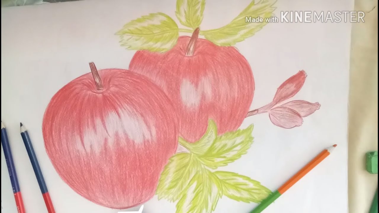 [step by step] how to shading an apple with colored pencils - YouTube