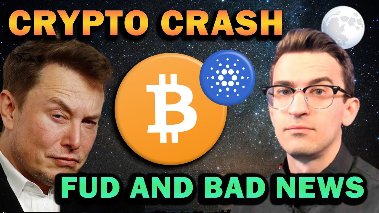 CRYPTO FUD AND BAD NEWS - Market Crash Continues - YouTube