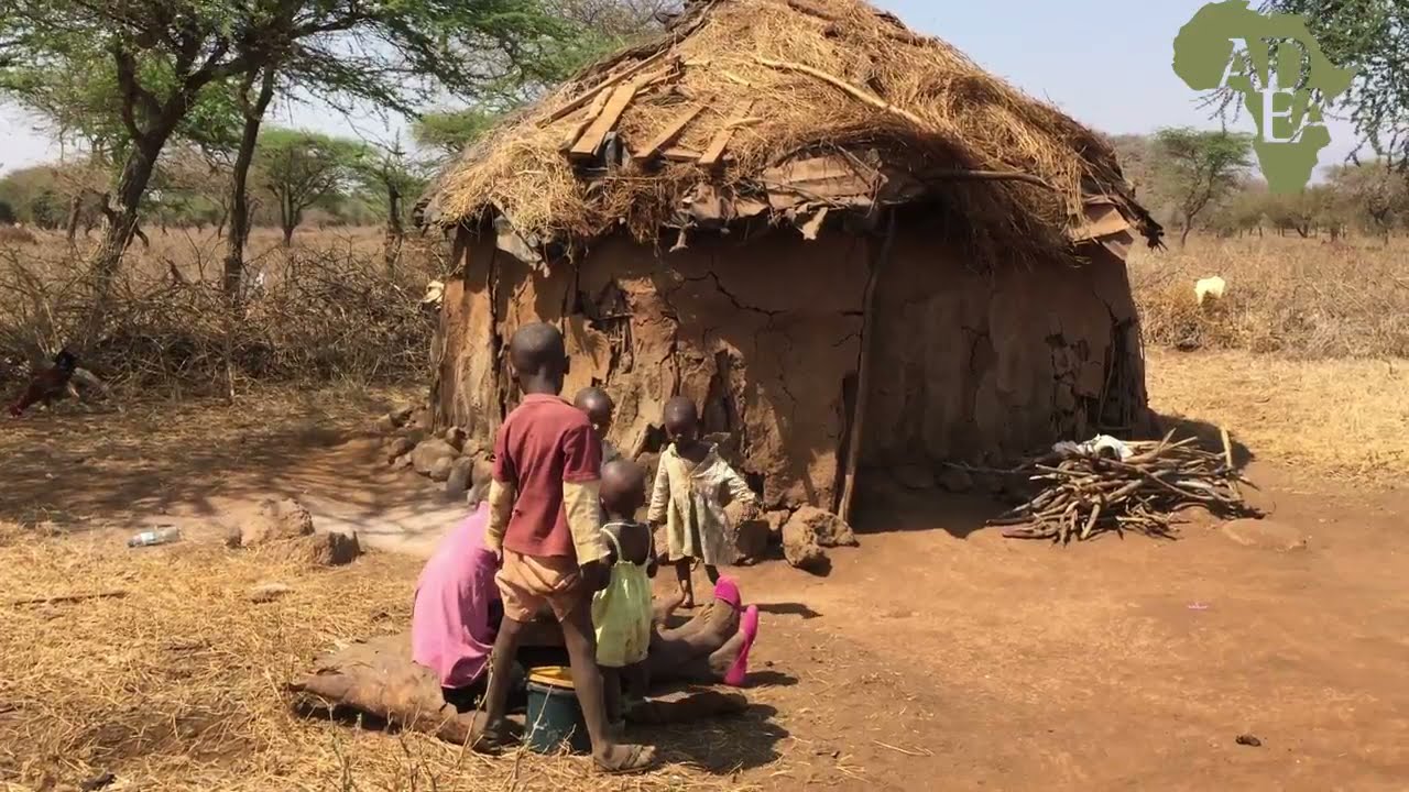 Crippling Drought in Maasailand of Rombo group ranch in Kenya - 2021 - YouTube