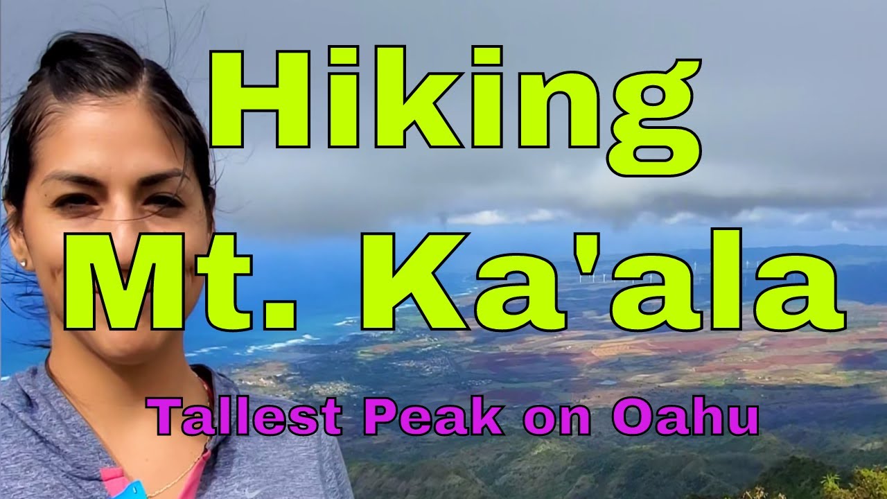 Hiking Mount Ka'ala, ⛰Tallest peak on Oahu, Hawaii🌄 - YouTube