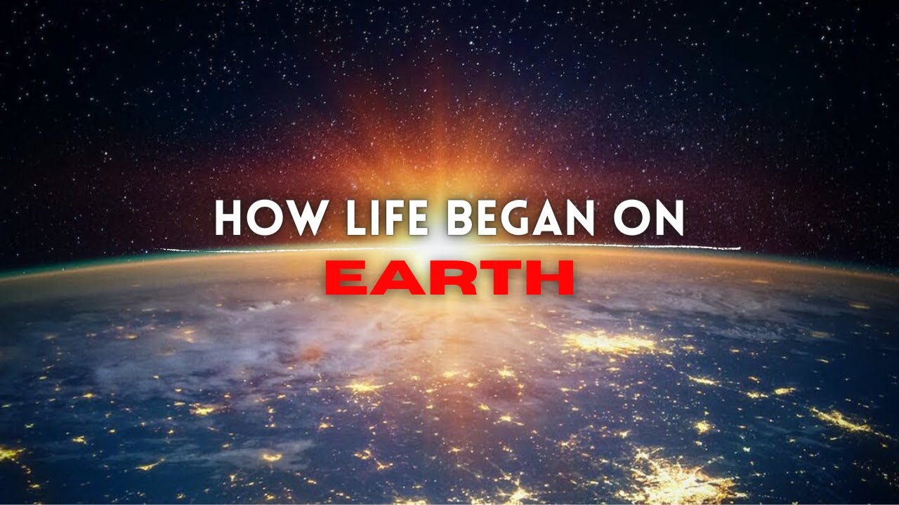 How life began on earth | Story of Life in just 5min - YouTube