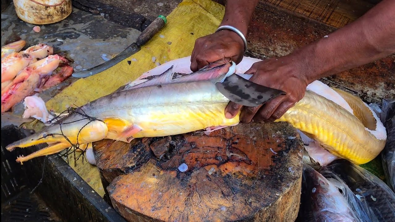 Big Yellow Conger Eel Fish Cutting With Knife At Bangladesh Fish Market ...