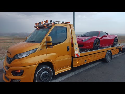 Sarı Öküz ün doğuşu beklenen video