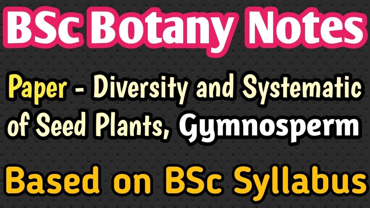 BSc Botany Notes || Paper - Diversity and Systematic of seed plant ...