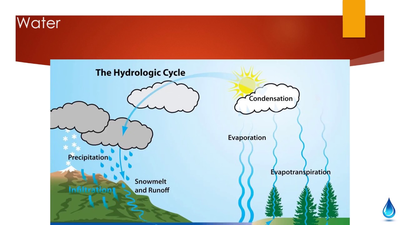 Grade 6 - Geography - Water & Water Pollution - Episode 33 - YouTube