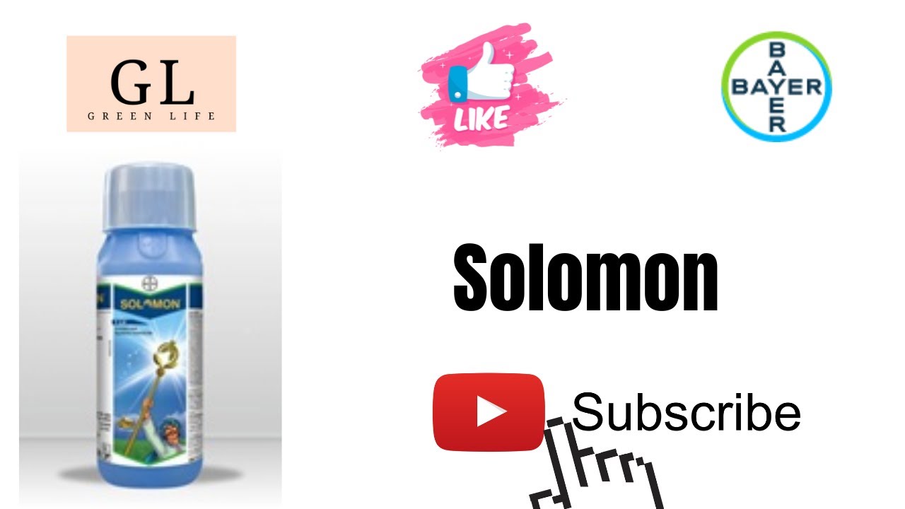 Bayer Solomon insecticide | green life - YouTube