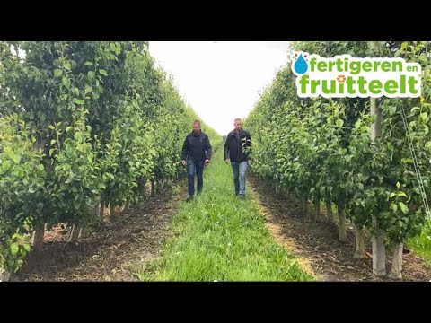 Fertigeren en Fruitteelt - Marco Schipper - Kwaliteitsverbetering - YouTube