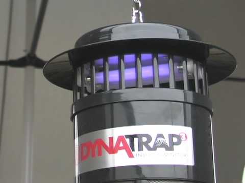 Dynatrap 3 Insect Eliminator - YouTube