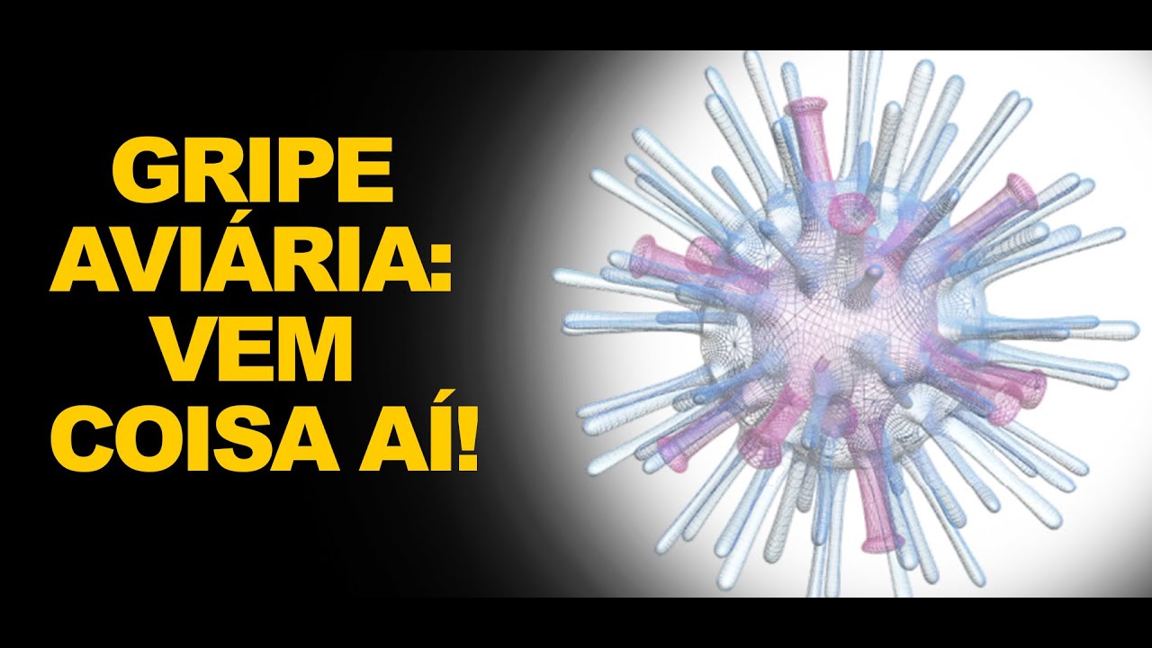 GRIPE AVIÁRIA: VEM COISA AÍ! - YouTube