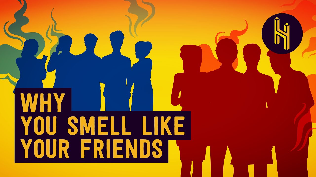 The Science Behind Why Friends Smell Like Each Other - YouTube