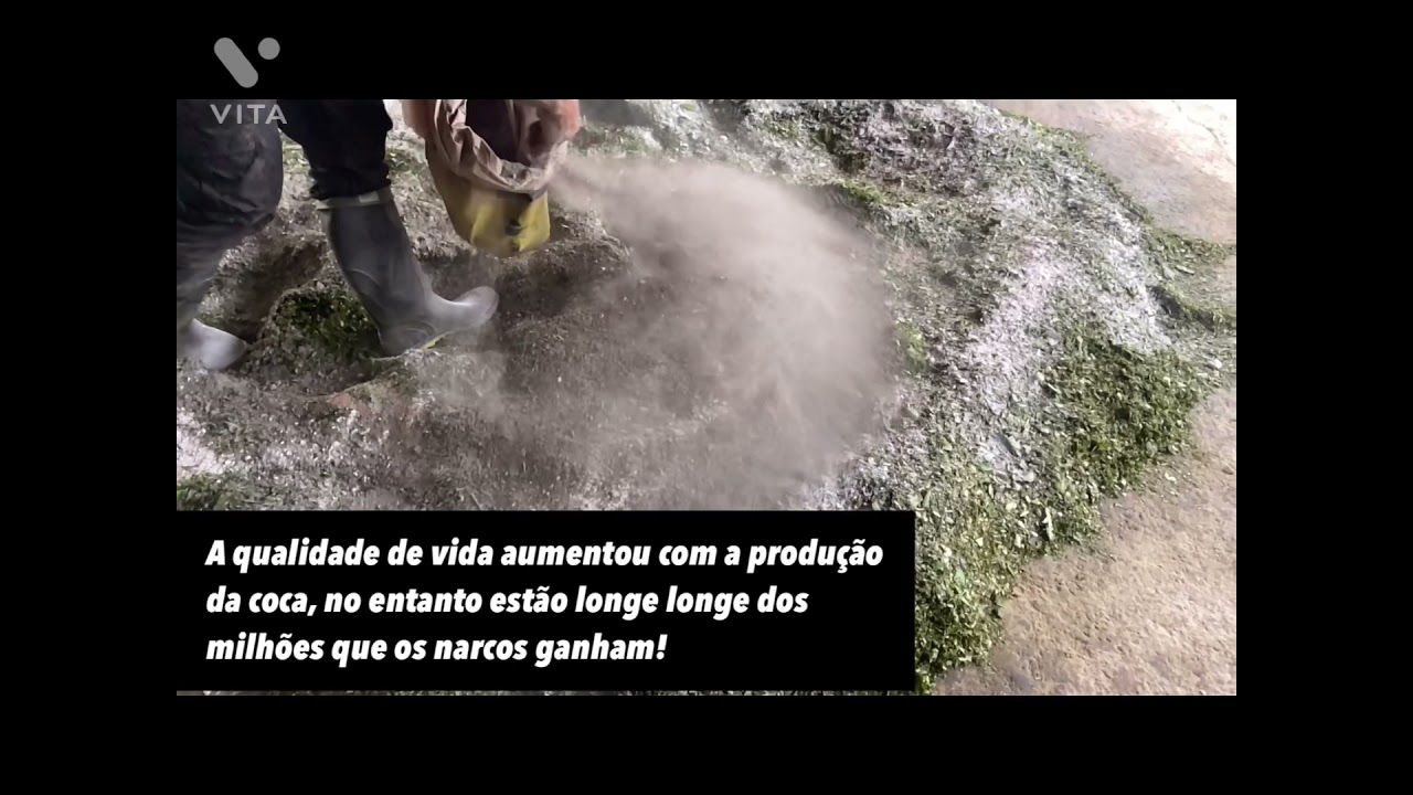 Coca- A produção de pasta base na região do Catatumbo, Colômbia - YouTube