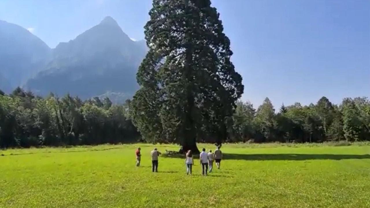 Posti esauriti per la Giornata del Fai alla tenuta di Faè con la ...