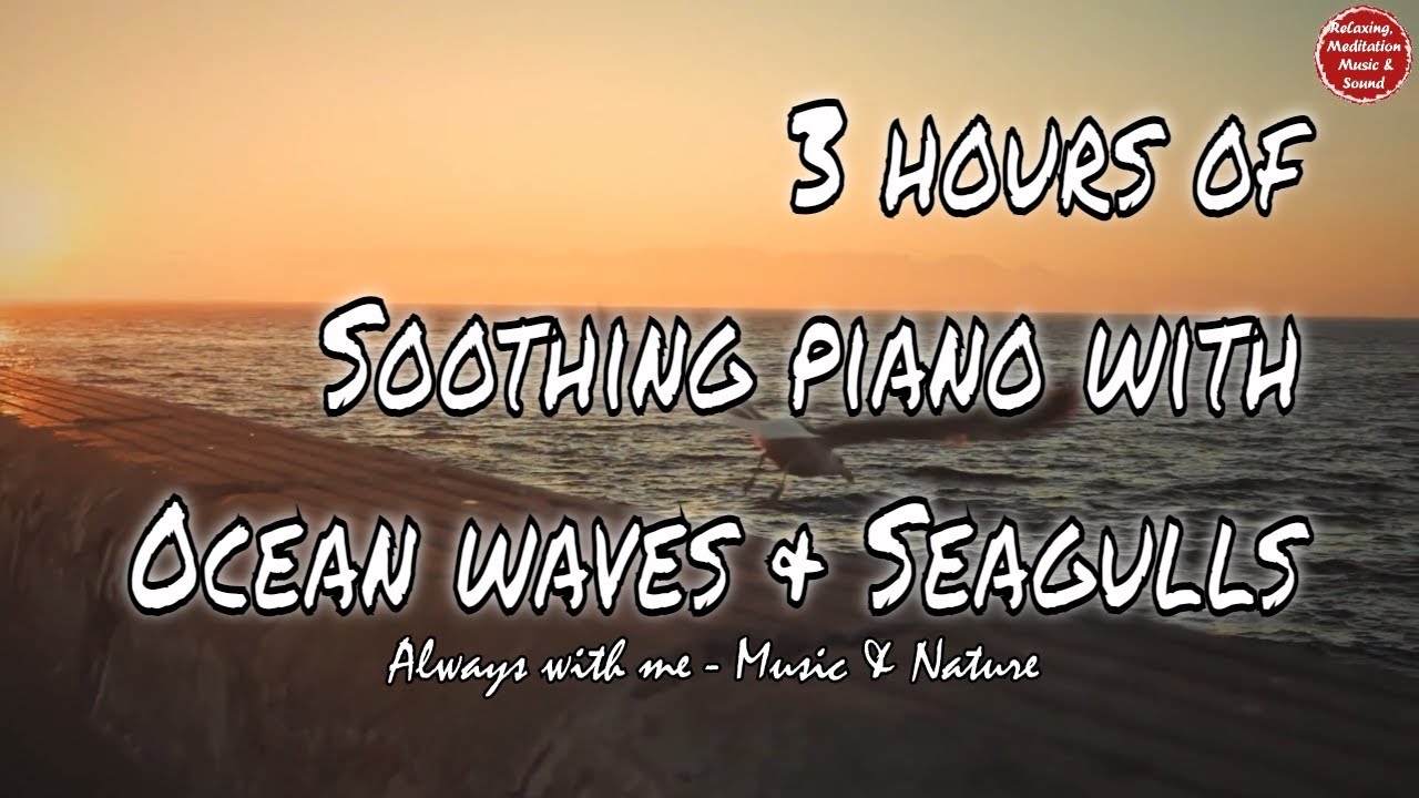 Soothing music with piano and ocean seagull sound for 3 hours, music ...