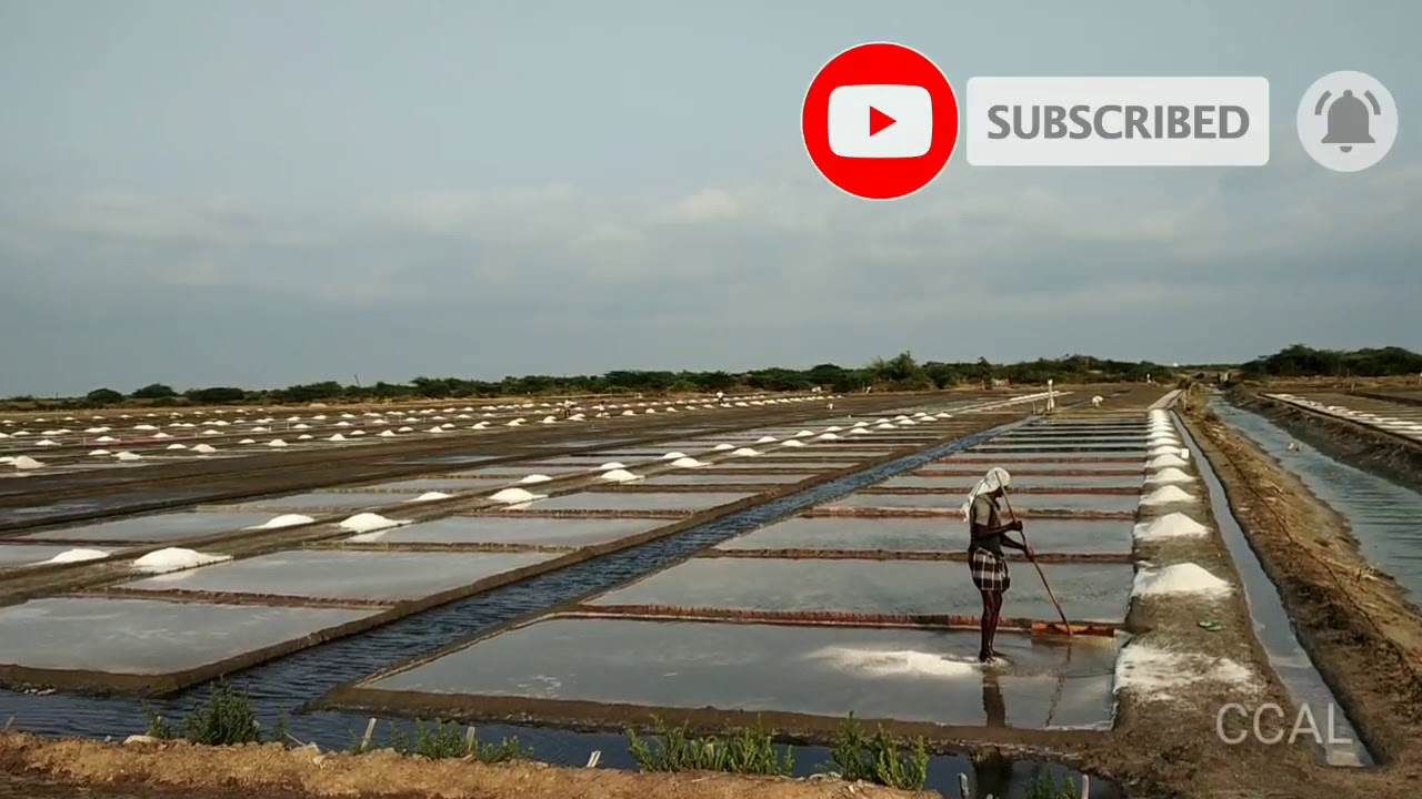 Uppalam in Vedaranyam - YouTube