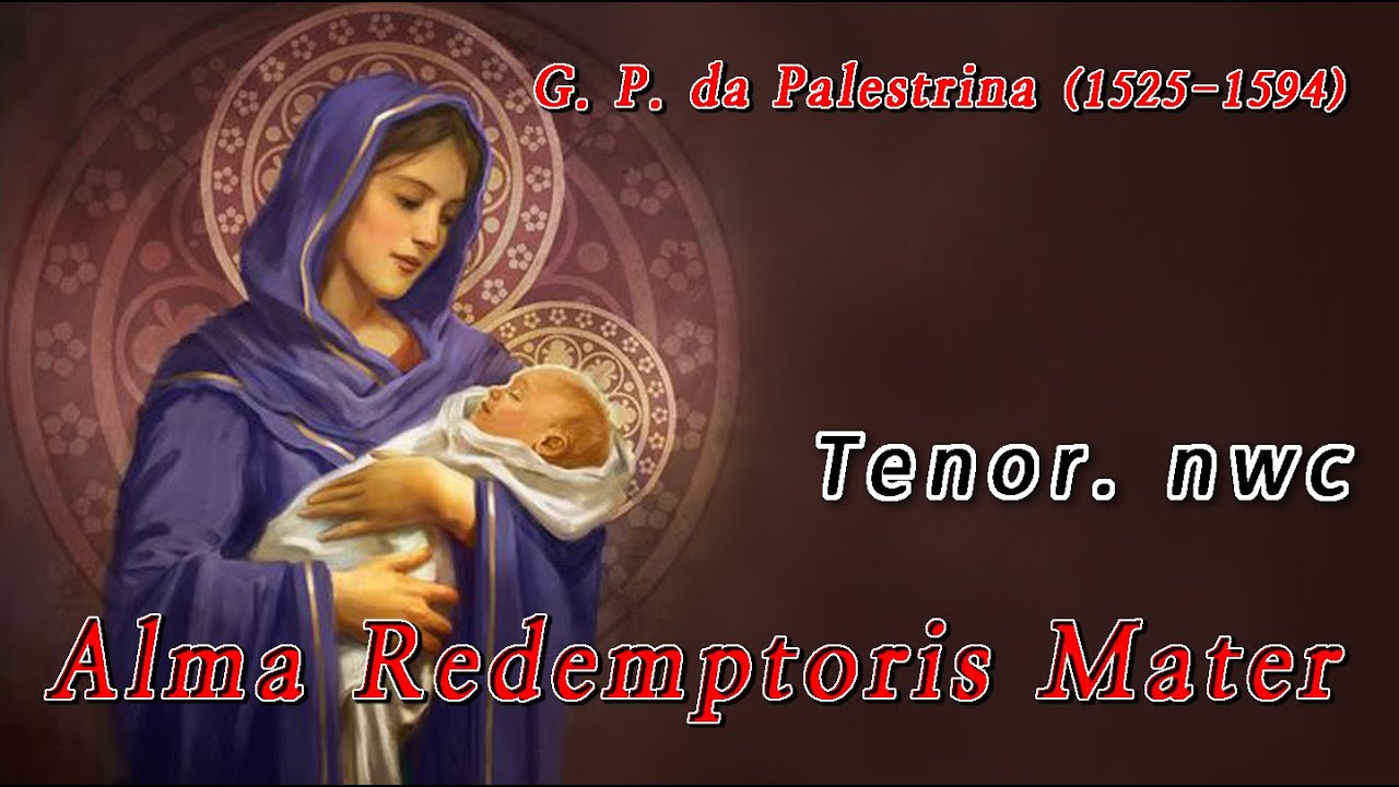 Alma Redemptoris Mater - TENOR - YouTube
